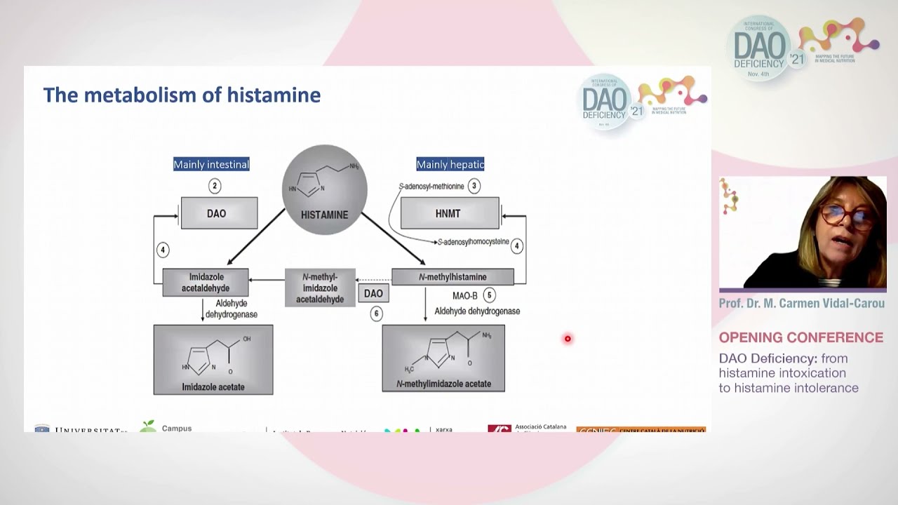 Opening Conference: DAO Deficiency: from histamine intoxication to ...
