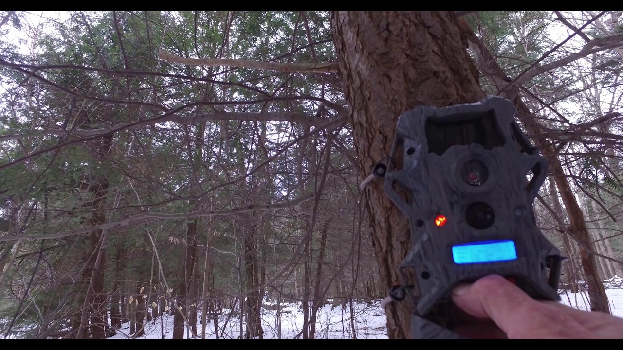 Feb/05/2020 Bucks Racks Game Cam Clips at 10:15 - YouTube