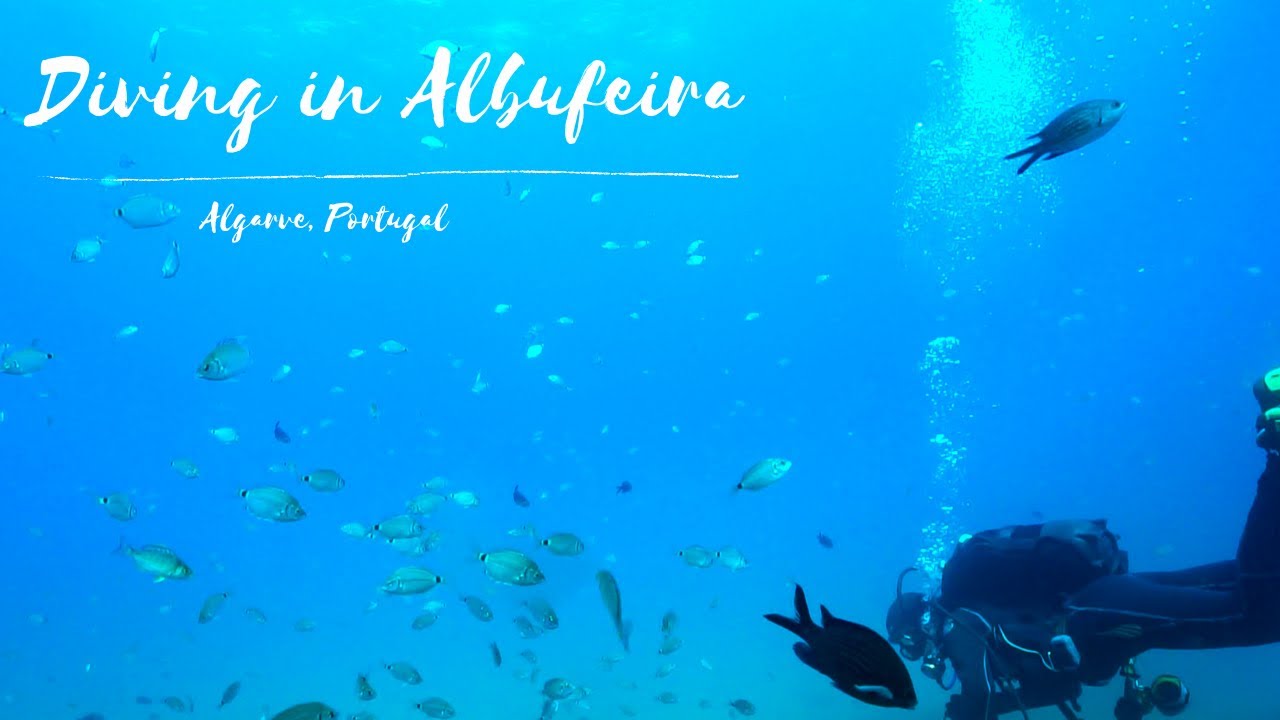 Diving in Albufeira - YouTube
