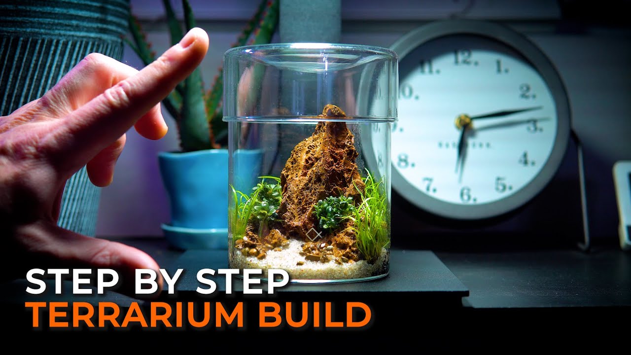 Creating a Mountain in a Terrarium | Step by Step - YouTube