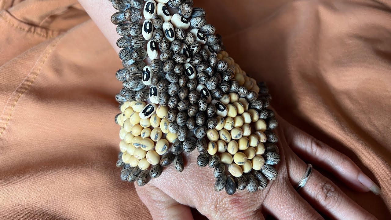 chromosomal variation of ticks - YouTube