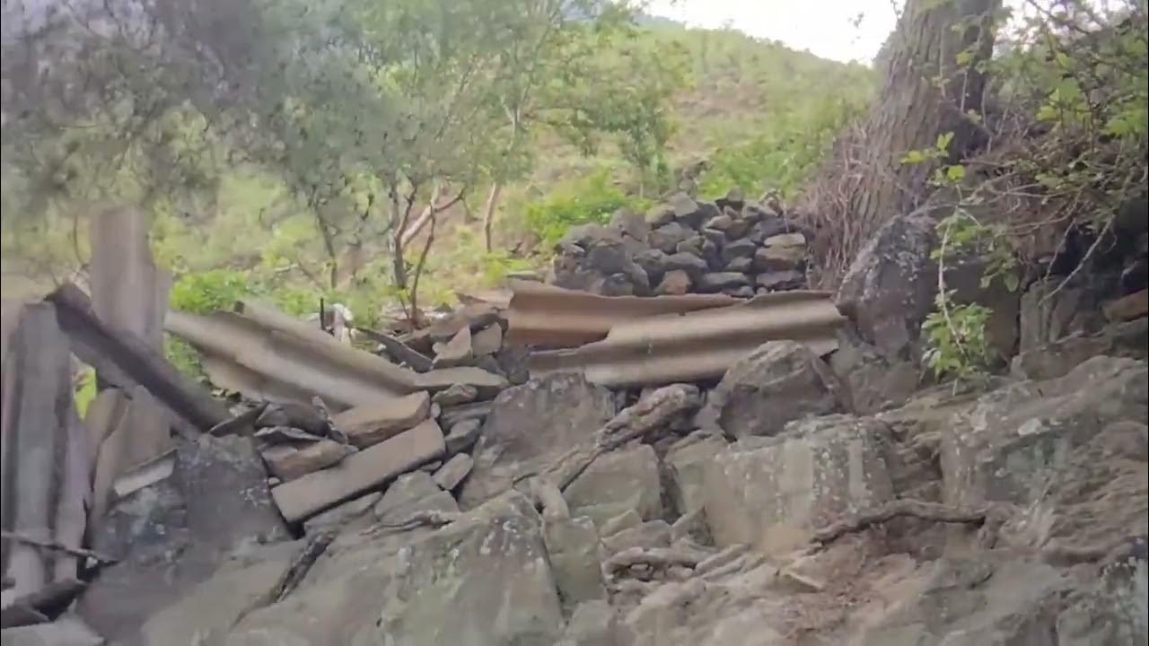 txiab Yaj thiab mab yaj kwv txhiaj ntsuag niam ntsuag txiv - YouTube