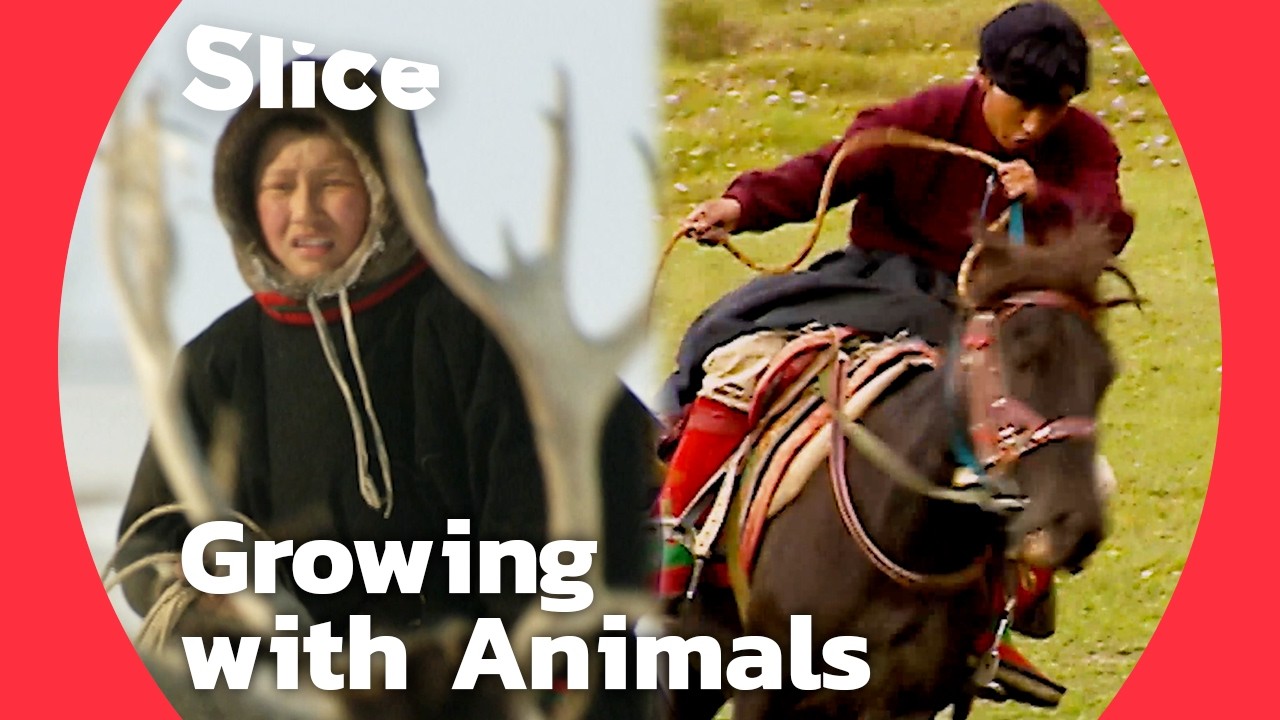 Mustang Horse Races to Arctic Reindeer Herds: Nima and Edik's Journey ...