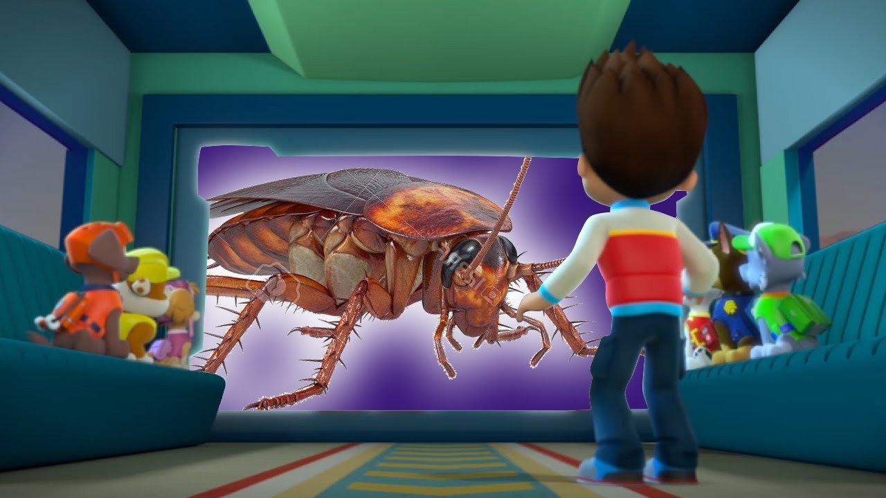 Paw Patrol Full Episodes English Ultimate Rescue: Pups Save a Swamp ...