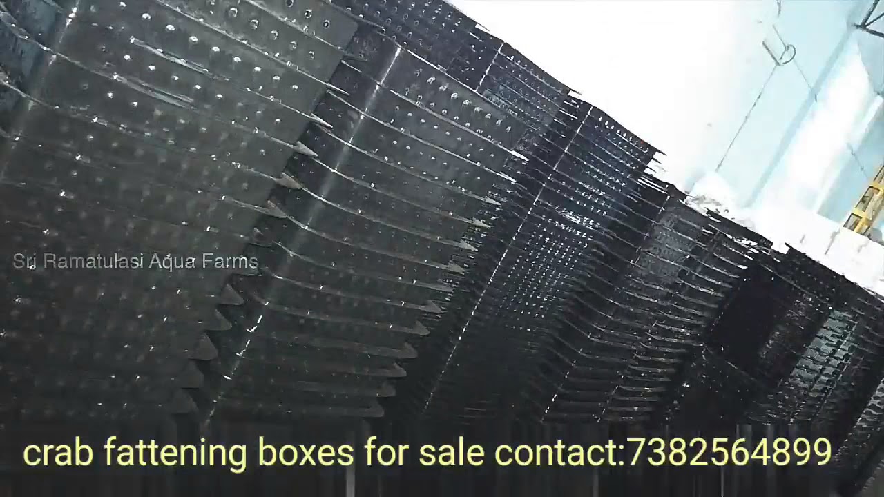 Crab fattening boxes for sale contact 7382564899 - YouTube