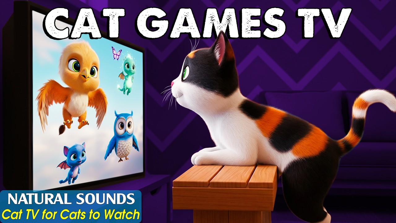 Ultimate CAT TV 📺 CAT GAMES on Screen－ANTI LONELINESS TREATMENT for Cat ...