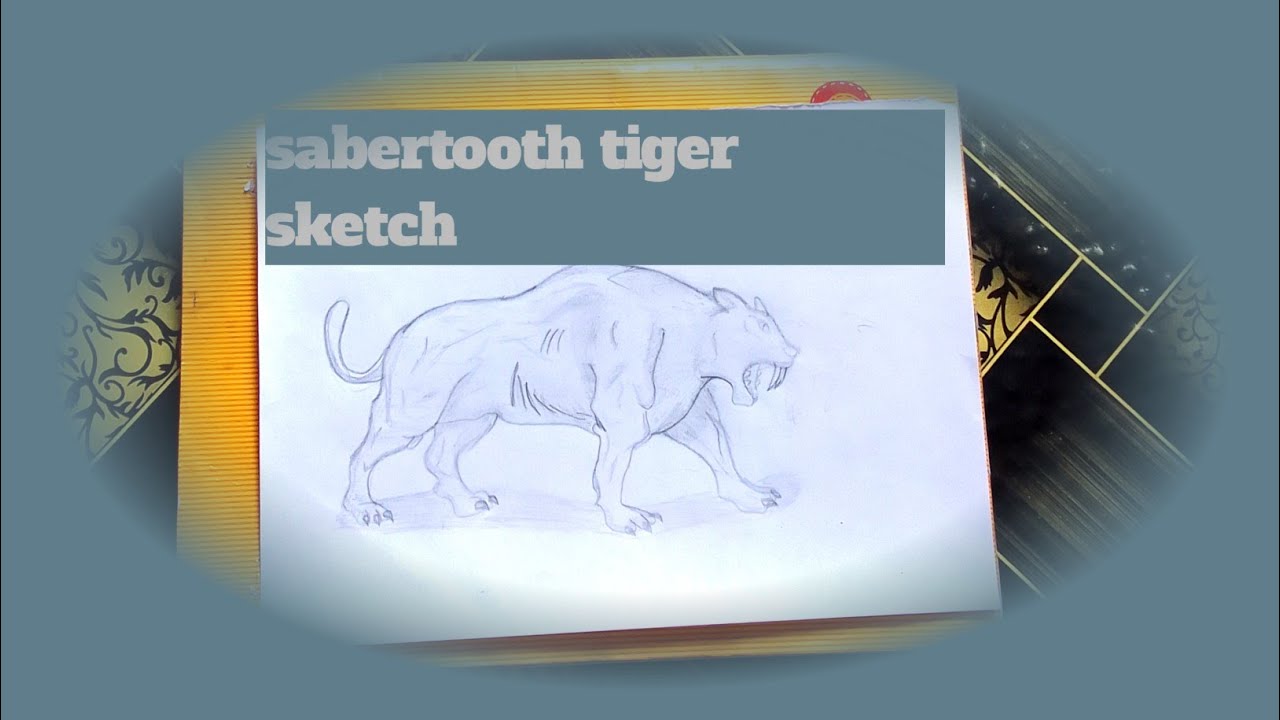 sabertooth tiger sketch easy step-by-step aditya vlogs drawing - YouTube