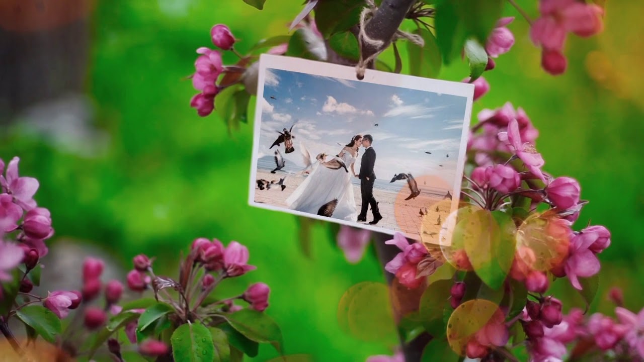 Proshow producer HD Project free download 2020 - YouTube