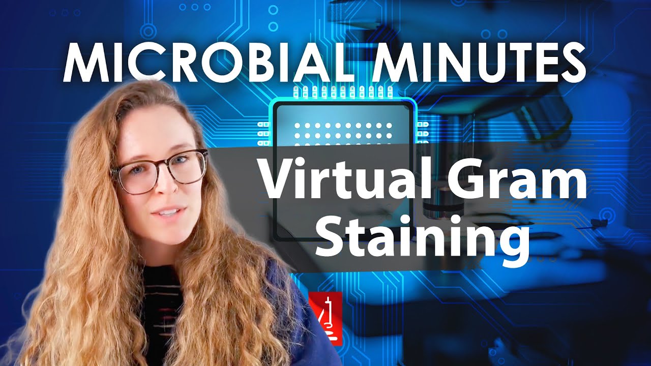 Virtual Gram Staining with Deep Learning (AI) - YouTube