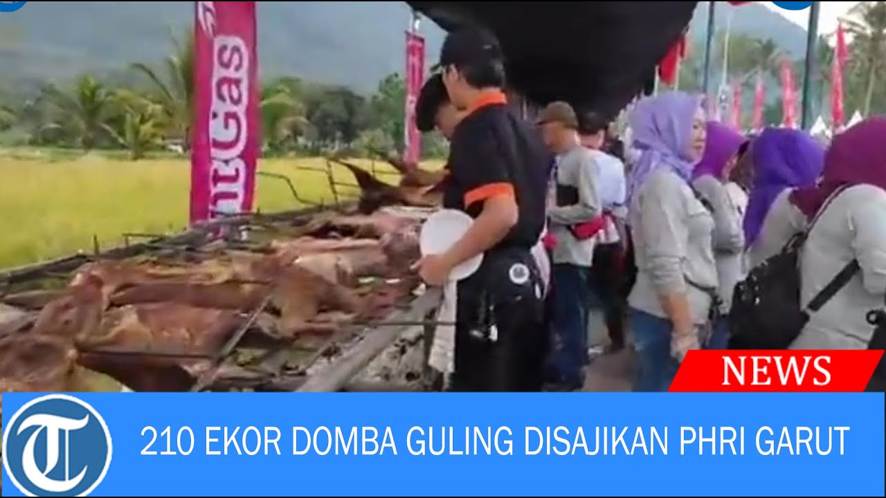 210 Ekor Domba Guling Disajikan PHRI Garut - YouTube