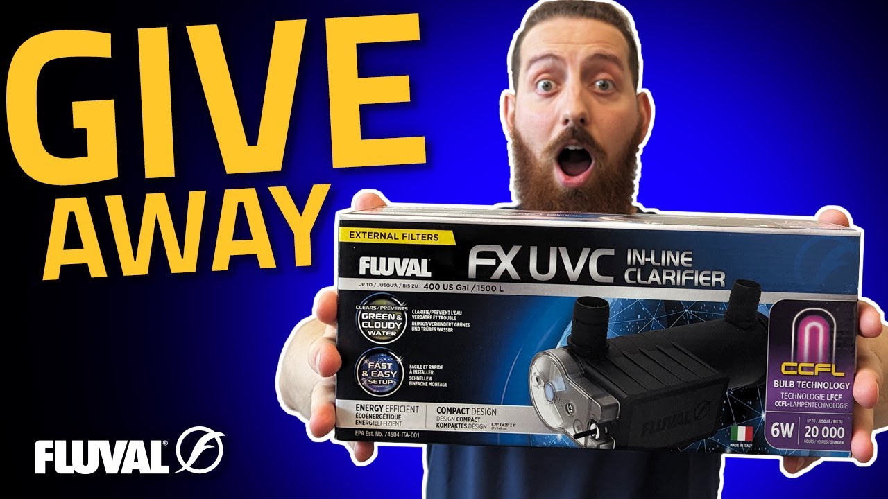 FLUVAL FX UVC CLARIFIER GIVEAWAY - YouTube
