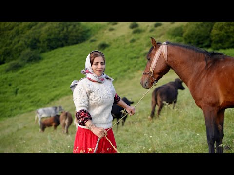İnekleri Dağların Arasından Başka Bir Yaylağa Taşıyıp Yeni Pori'de Kaldı