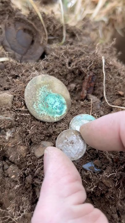 Six 1800s coins found Metal Detecting , the most I’ve ever found in one hole #metaldetecting # ...