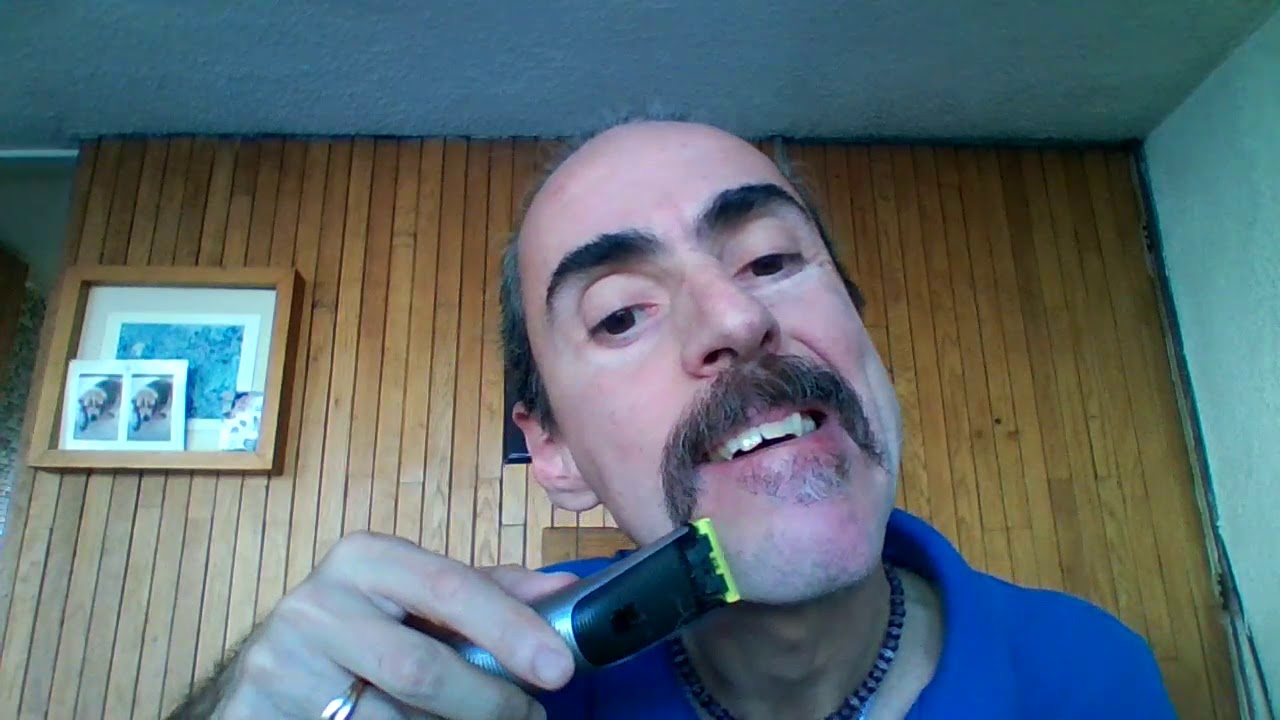 Bigote de foca 2 - YouTube