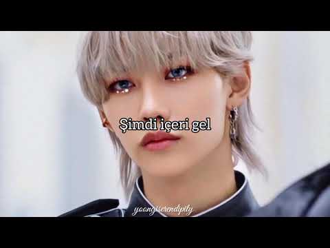 Stray Kids- Back Door türkçe altyazılı