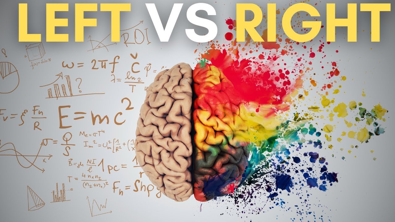 Left vs Right Brain People: It's Not That Simple - YouTube