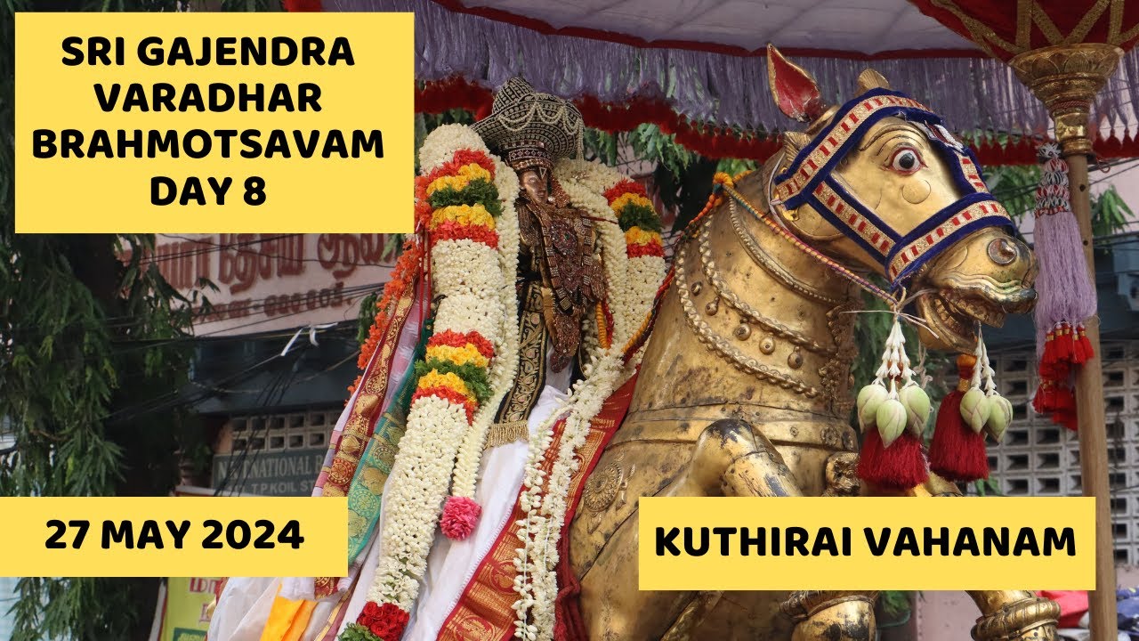 குதிரை வாகனம் புறப்பாடு | Thiruvallikeni Sri Gajendra Varadhar ...