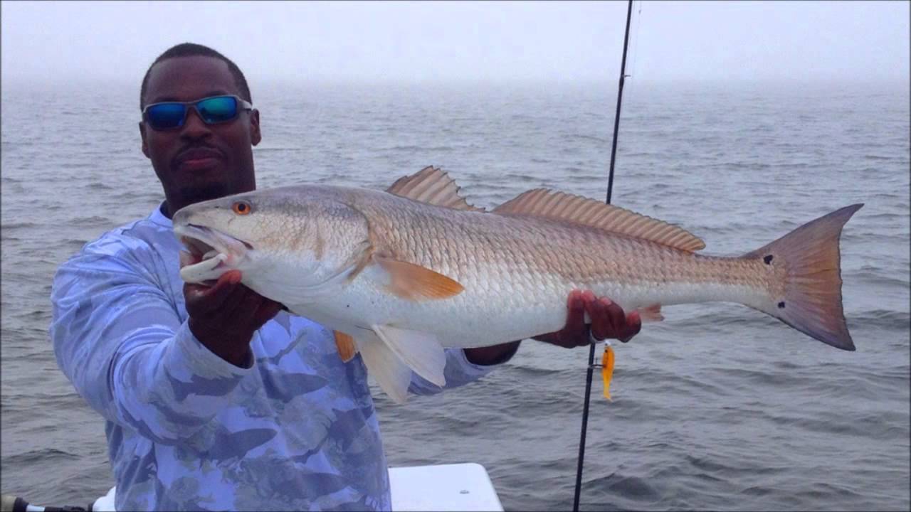 Chuck with 3 Crab Island Bull Redfish Destin Florida - YouTube
