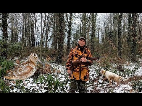 Karda Çulluk Peşinde - Leo'dan Uzak Mesafe Fermalar