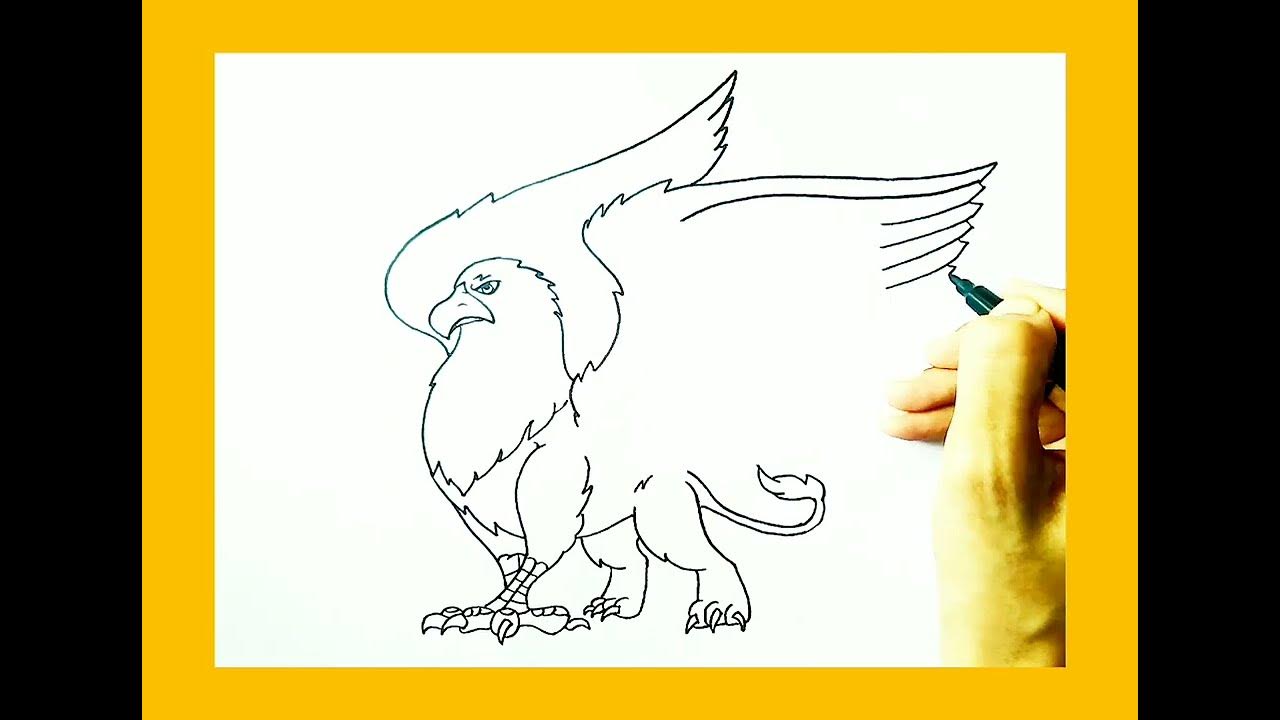 How To Draw a GRIFFIN | Draw and colour GRIFFIN #griffin #drawing #howtodraw - YouTube