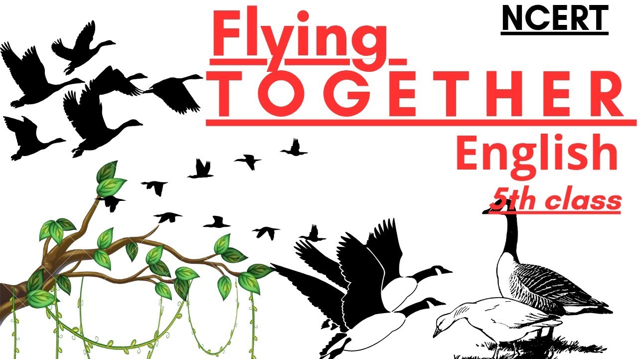 'flying together!' Class-5th, English Chapter "NCERT" - YouTube