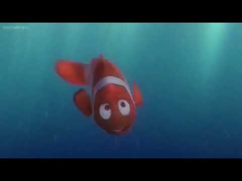 Finding Nemo (2003) Meet Marlin & Dory Scene