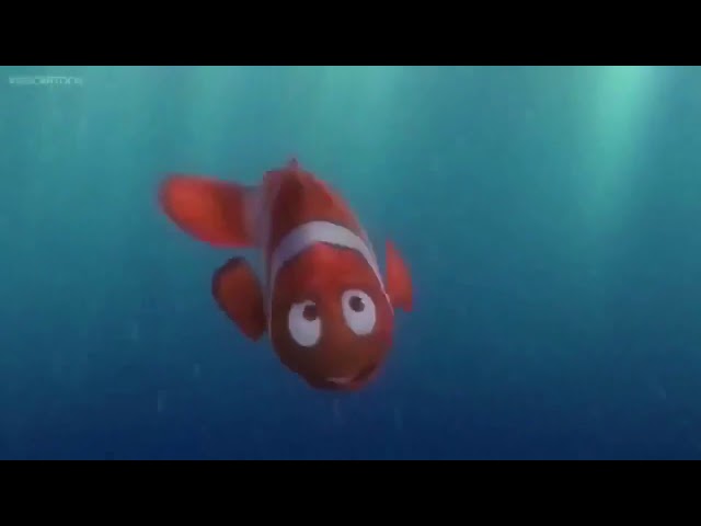 Finding Nemo: Meet Marlin & Dory gen…: English ESL video lessons