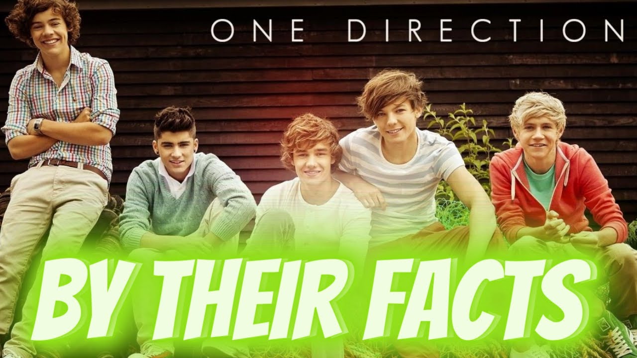 Guess The One Direction Members By Their FACTS - YouTube