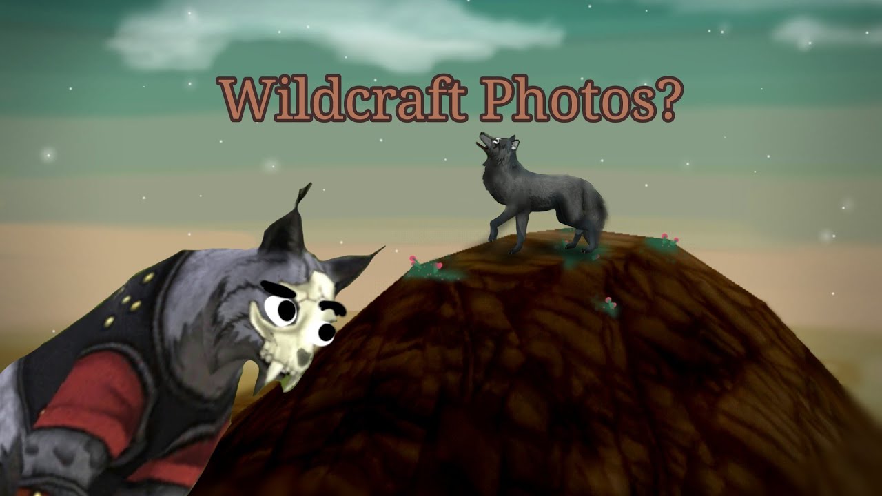 How to take stunning wildcraft photos! - YouTube
