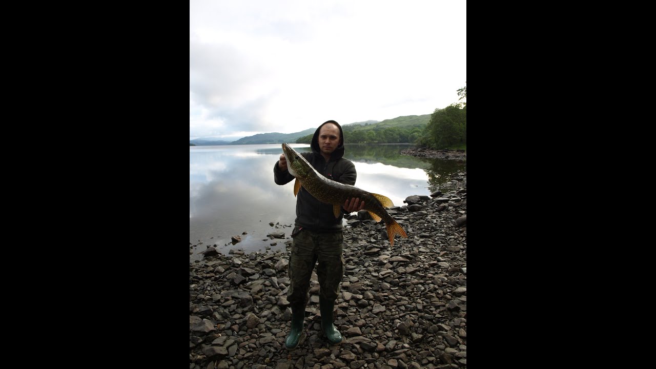 Loch Awe big pike fishing Szczupak w Szkocji - YouTube