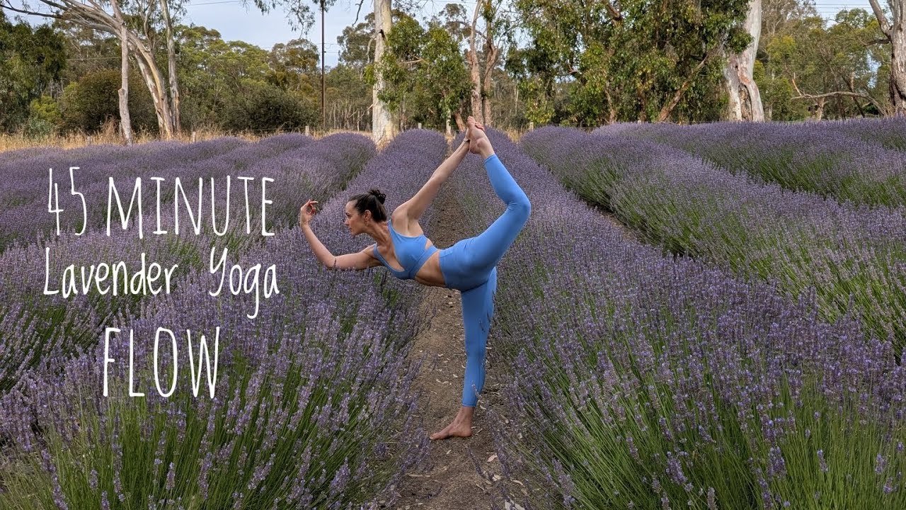 45 Minute Lavender Yoga Flow 🪻 #yoga #yogi #yogapractice #yogalife # ...