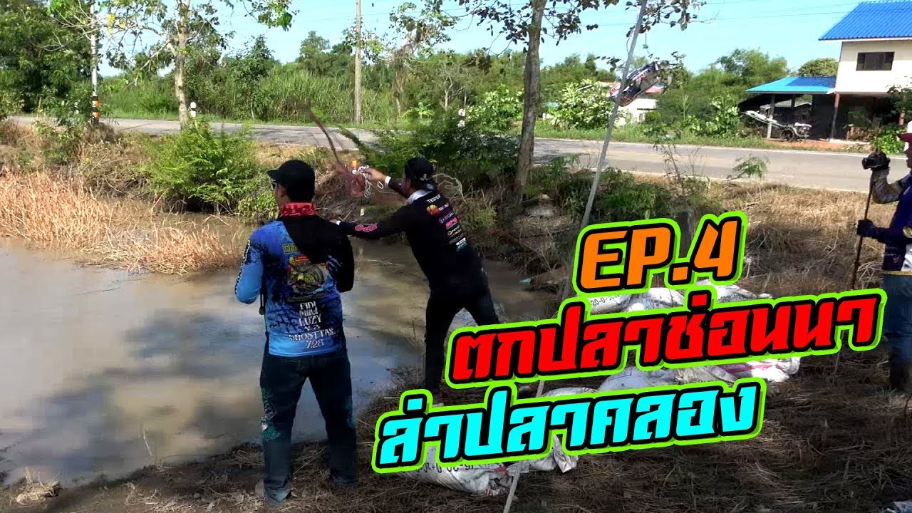 BR - EP.4 ตกปลาช่อนนา ล่าปลาคลอง - YouTube