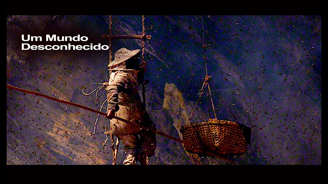Mundo Desconhecido - YouTube