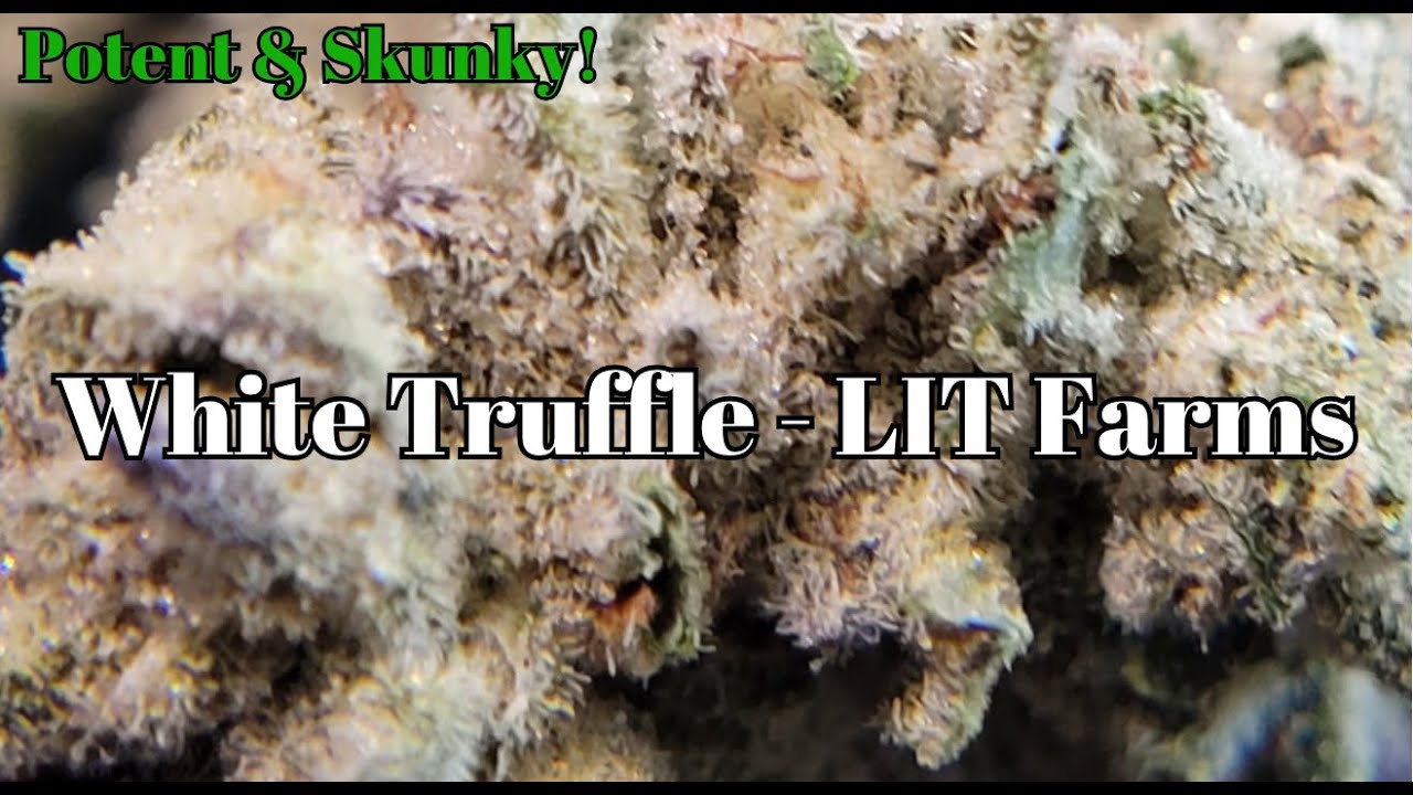 LIT Farms - White Truffle Review & Macros - Preferred - Sticky, STRONG ...