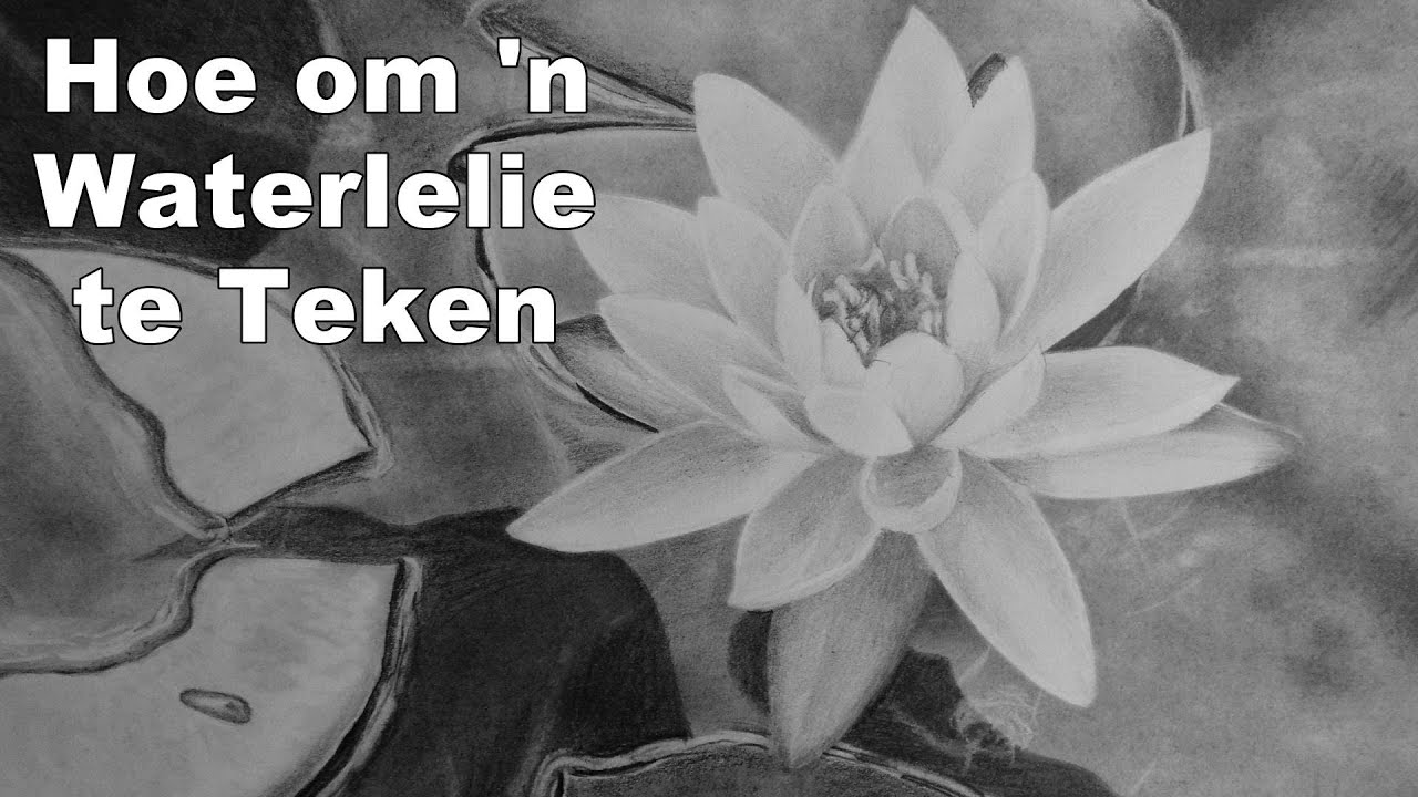 hoe om blomme te teken waterlelie kuns klasse lesse - YouTube