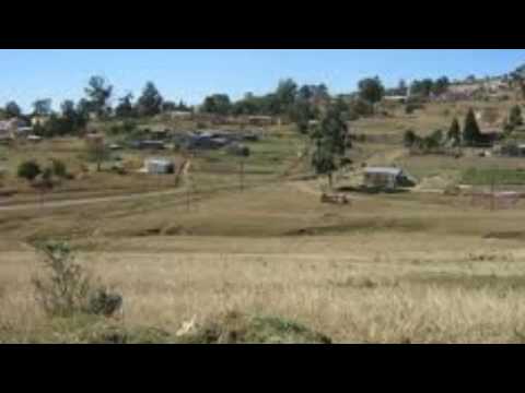 tholakele ka malunga -ukuswela abazali - YouTube