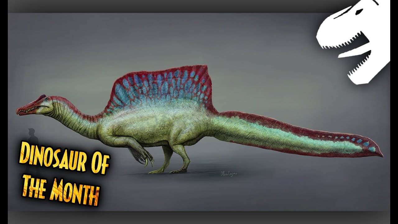 Spinosaurus Reconstructions | Dinosaur Of The Month (w/ Lopho Lee & The ...