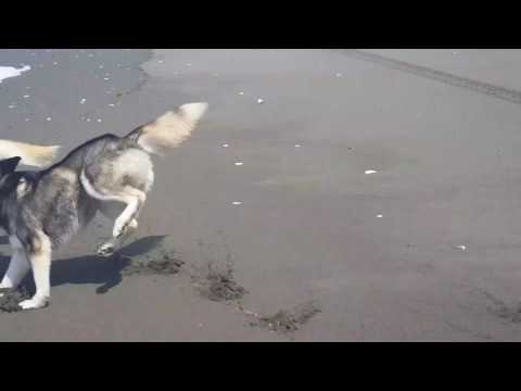 Beach day, Jasmine, Dustin and Aja