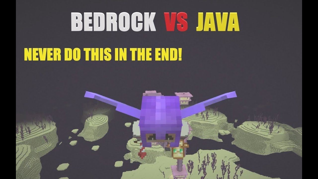 Never Do This in The End Minecraft Bedrock vs Java pt23 - YouTube