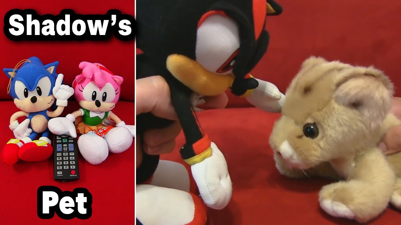 TT Movie: Shadow's Pet REACTION!!! - YouTube