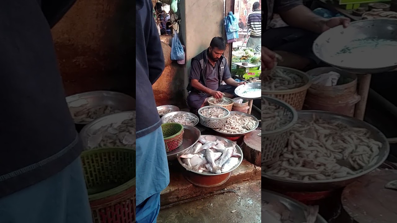 Moosa Colony Fish 🐟 Market visit 12 January 2021. - YouTube