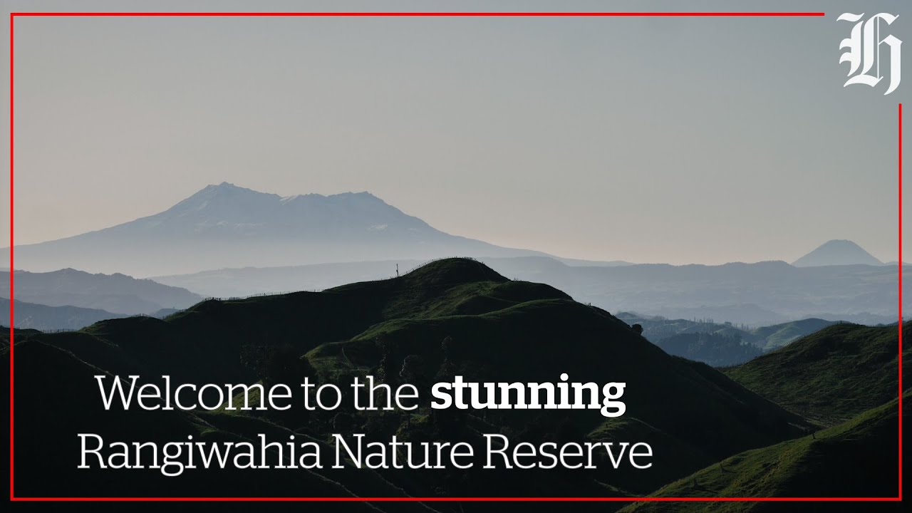 Check out stunning Rangiwahia Nature Reserve in Manawatū | Local Focus ...