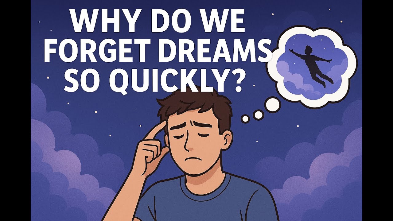 Why Do We Forget Our Dreams So Quickly? | The Science Behind Dream ...