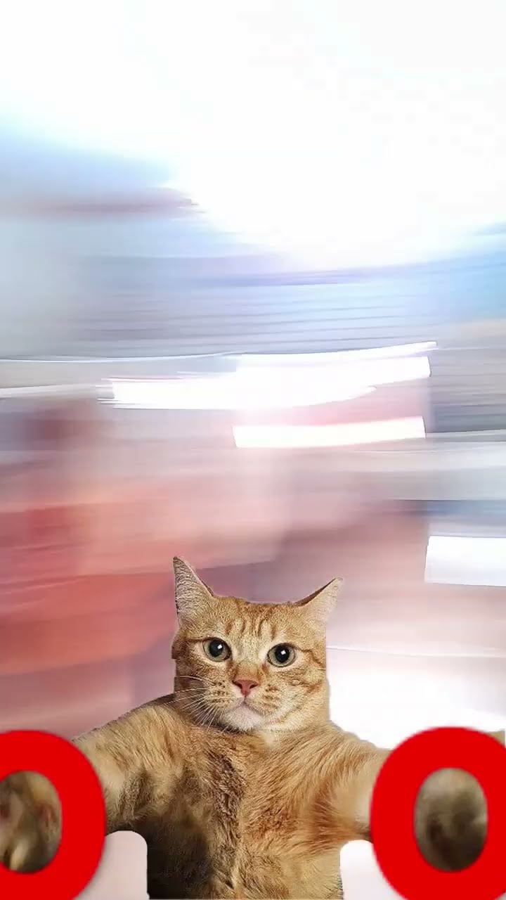 27 de julio de 2024 - YouTube