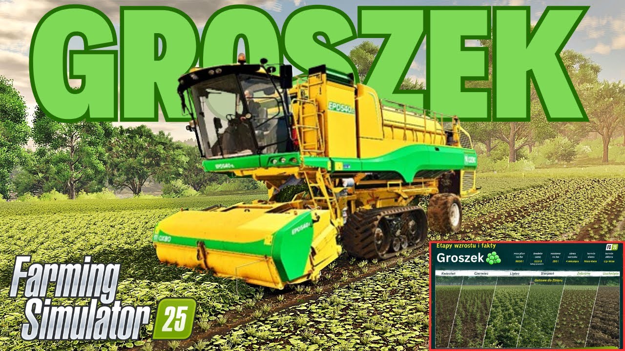 🥬🥬🥬UPRAWA GROSZKU W FARMING SIMULATOR 25 - YouTube