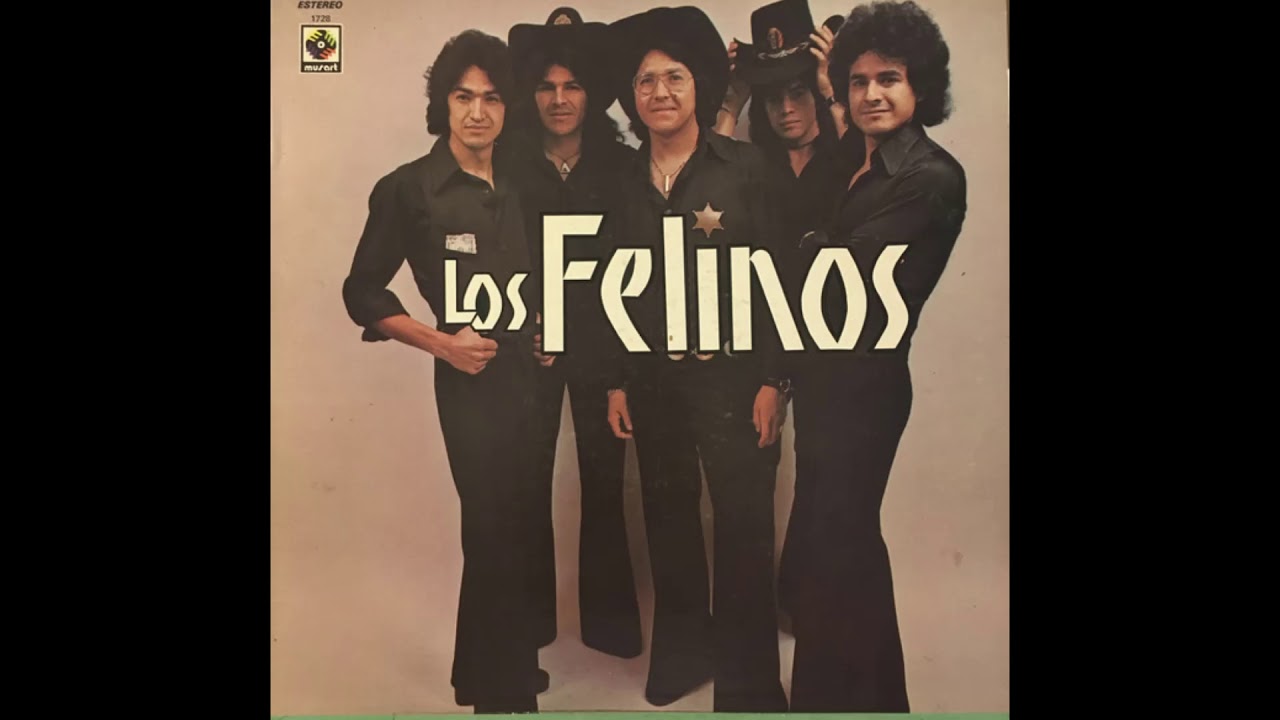 Los Felinos Amor Indio - YouTube