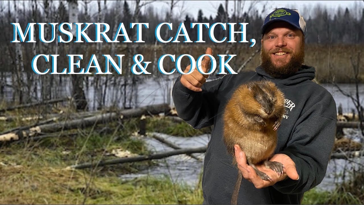 TRAPPER'S VLOG EPISODE 61 "MUSKRAT CATCH/CLEAN/COOK " - YouTube