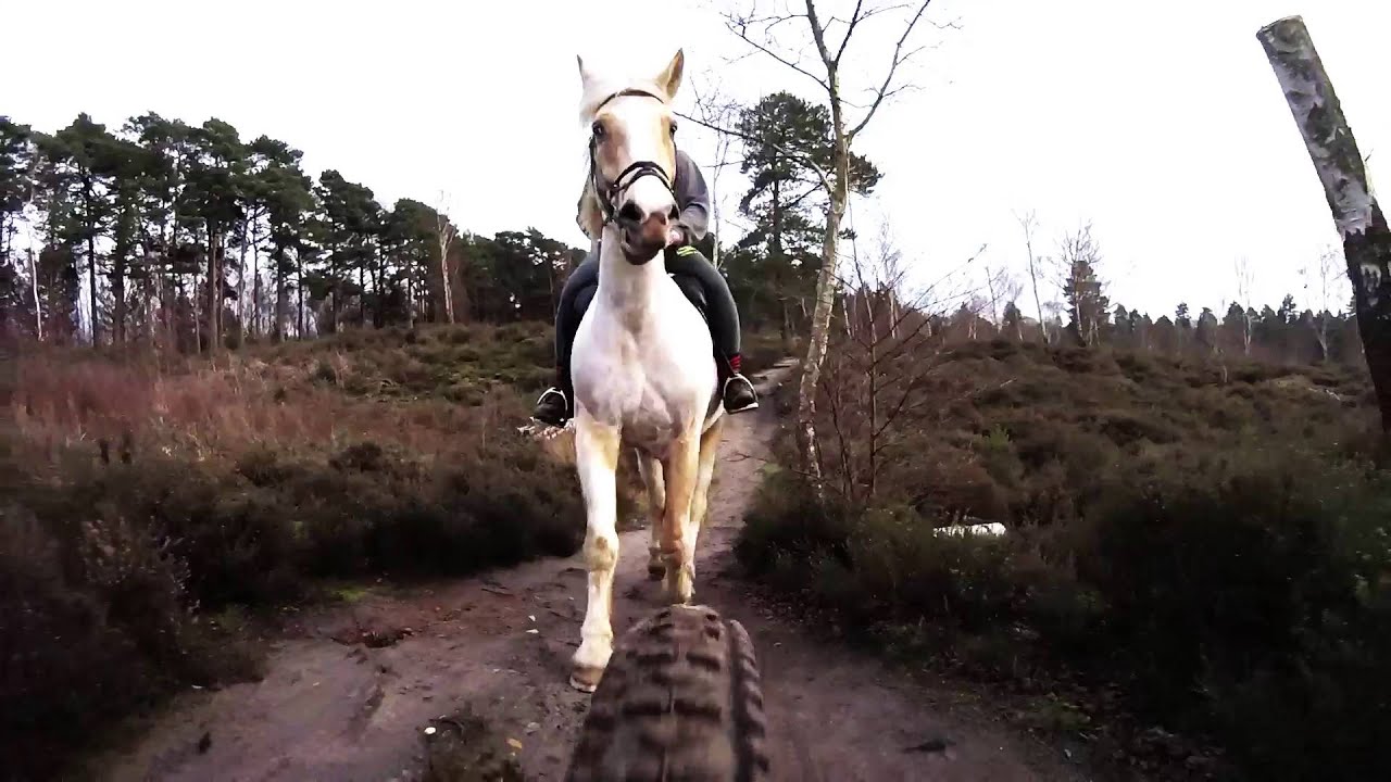 Horse/Bike Ride - YouTube