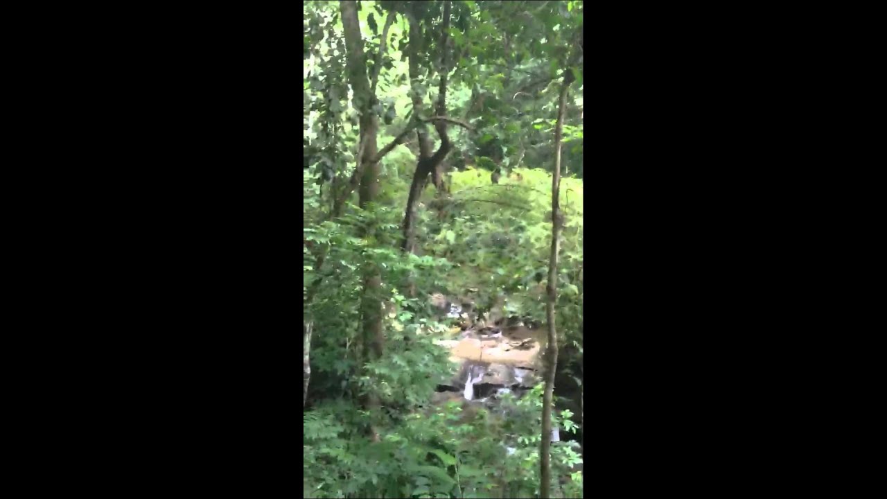 Blue basin waterfall in Trinidad - YouTube