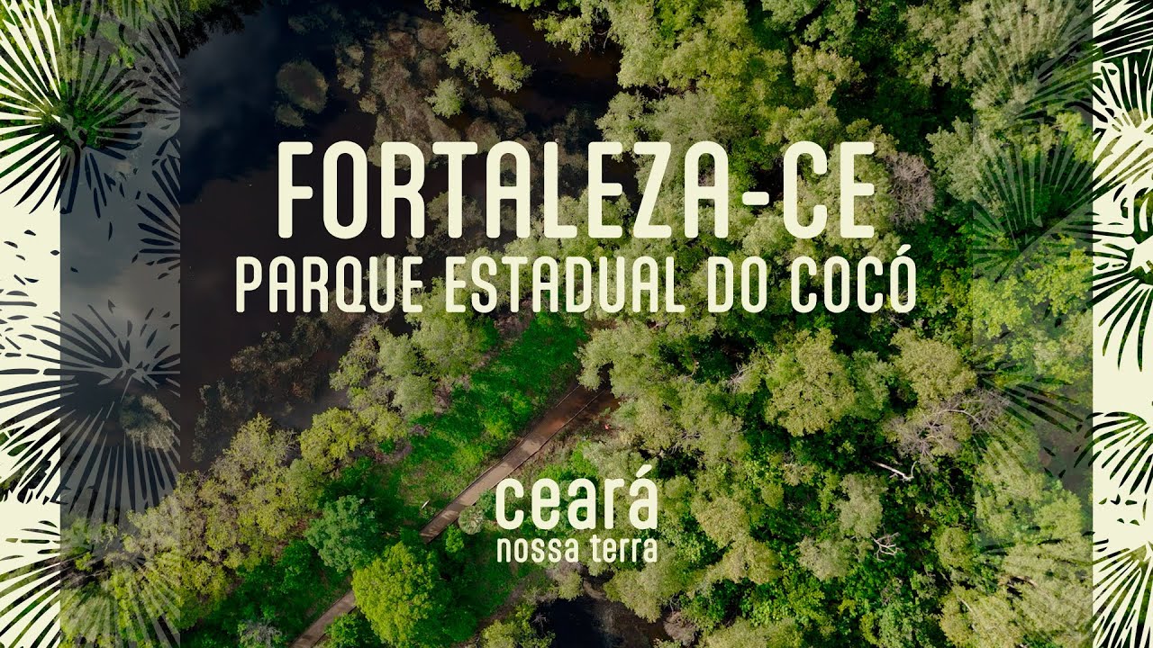 Parque Estadual do Cocó, Fortaleza-CE. - YouTube